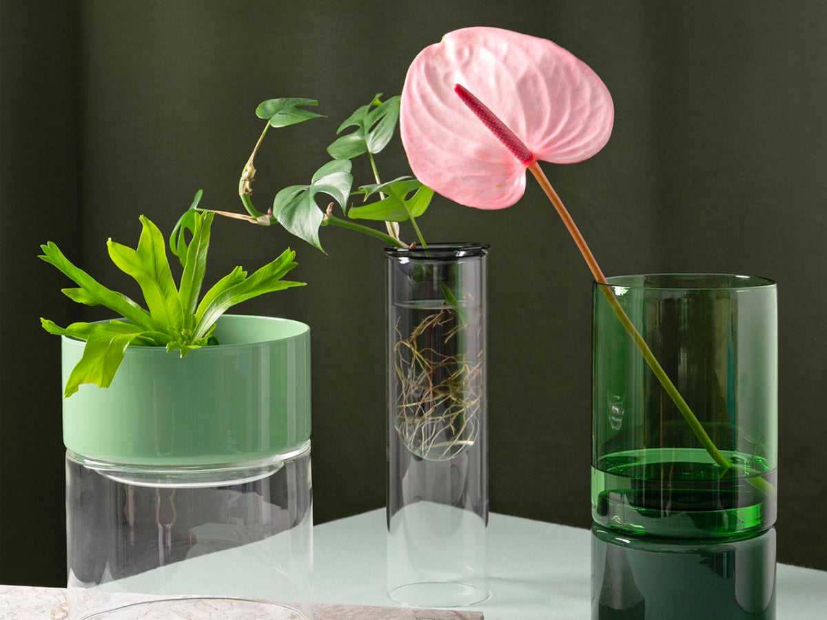 Superette | Studio Milligram